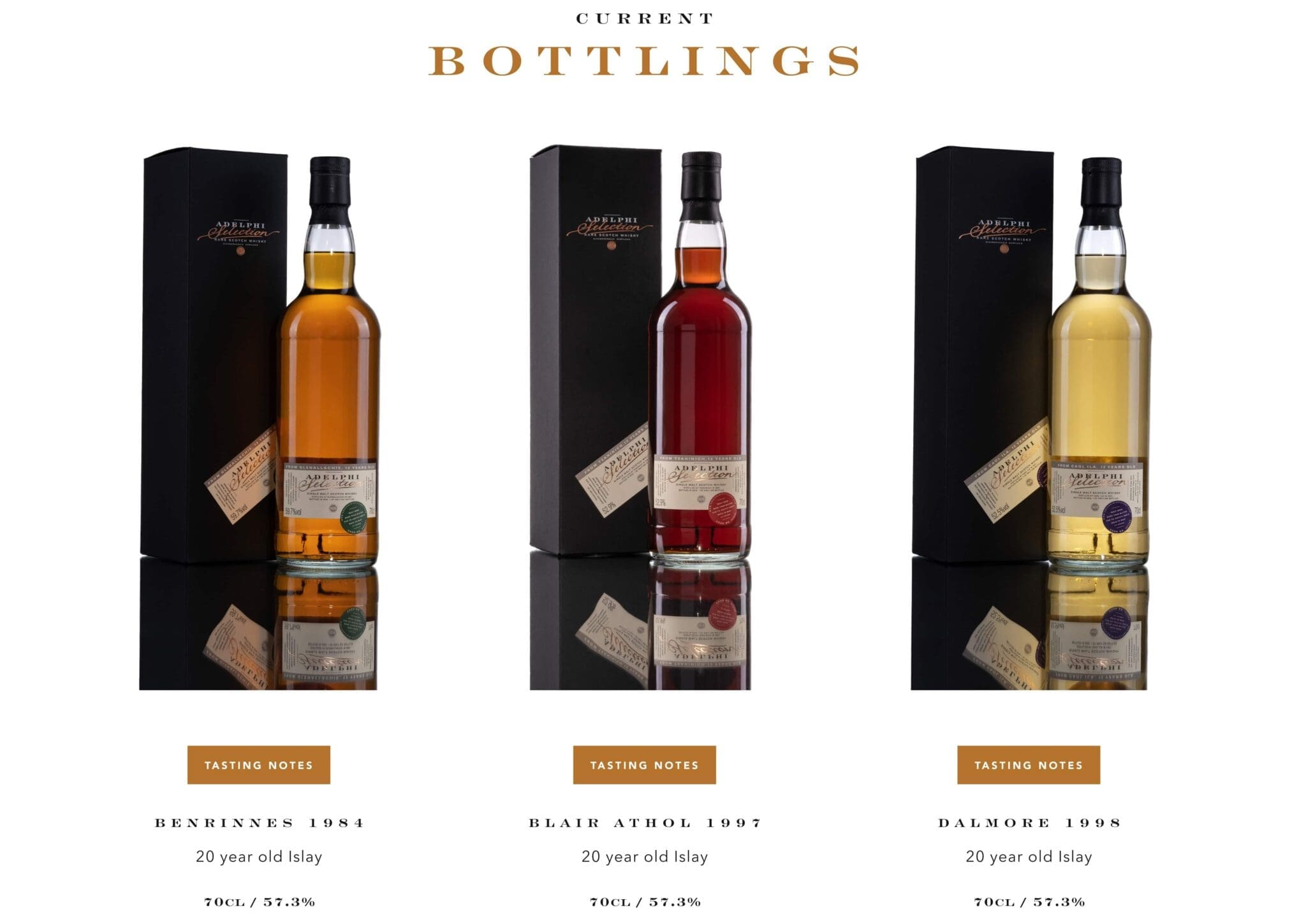 Adelphi Selection: Web Design & Branding By Bluestone98