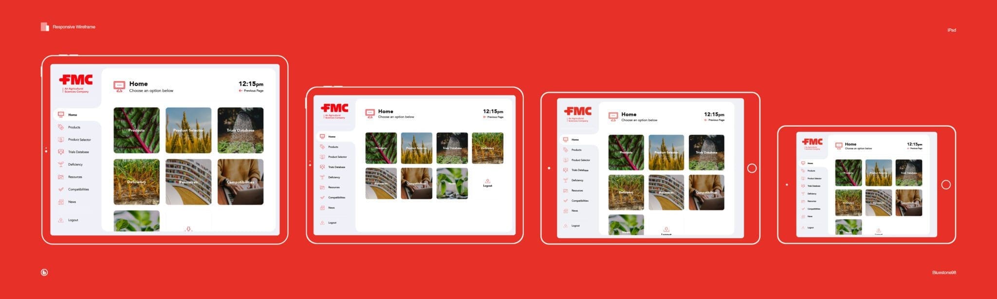 FMC Argo: Web Design & Branding By Bluestone98